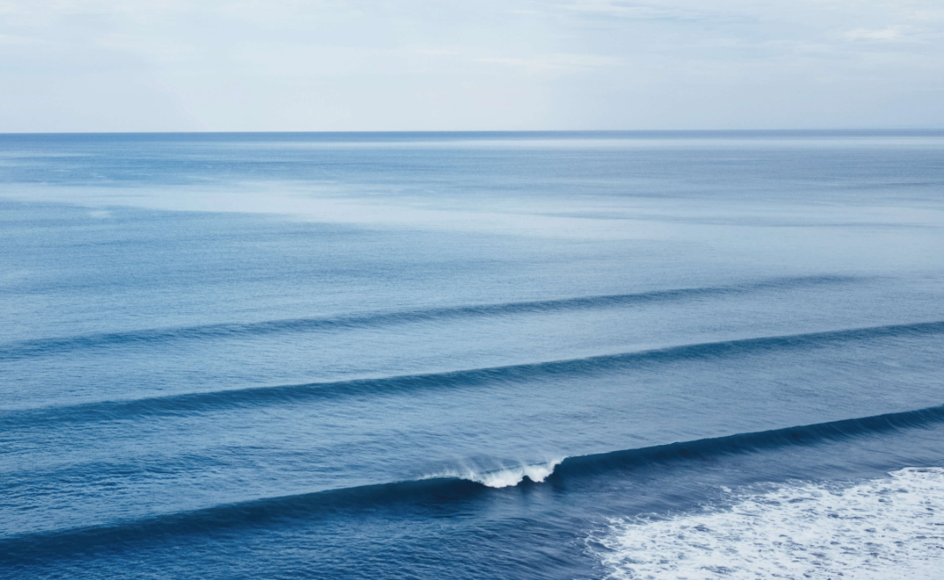 SEA2SEE ACHIEVES CARBON NEGATIVE STATUS